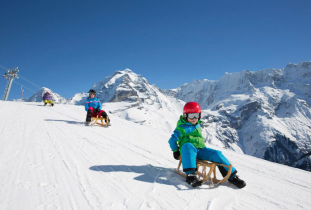 Sledging (sledding) is serious winter fun in Switzerland ⋆ SnowAction