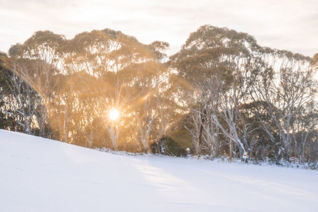 Dinner Plain Skiing Back Today After 2 Years! ⋆ SnowAction